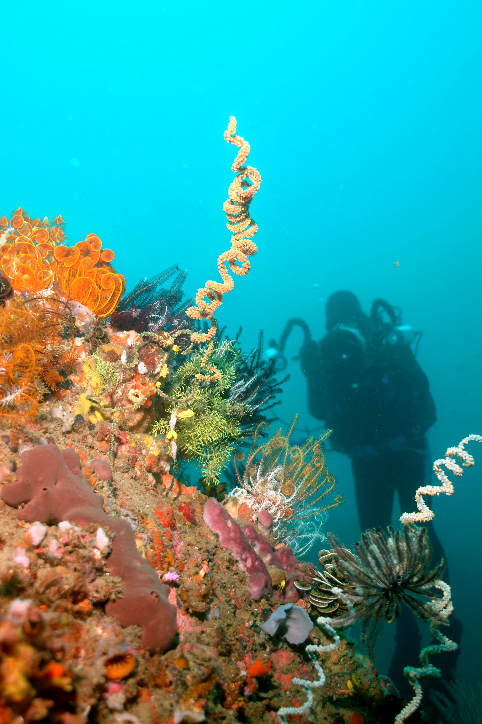 Independent Producer of Televised Documentaries | Documentary Film & TV ...