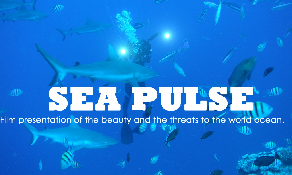 Independent Producer of Televised Documentaries | Documentary Film & TV ...